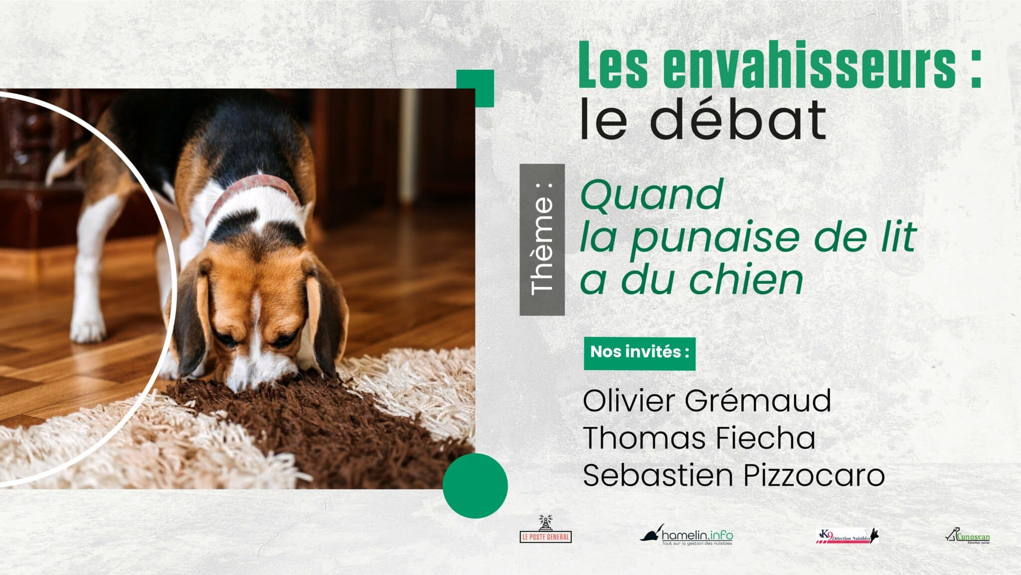 Détection canine de la punaise de lit [PODCAST] | Hamelin.info