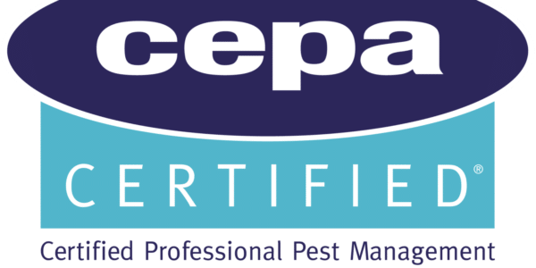 CEPA Certified : pour qui ? pour quoi faire ? | Hamelin.info