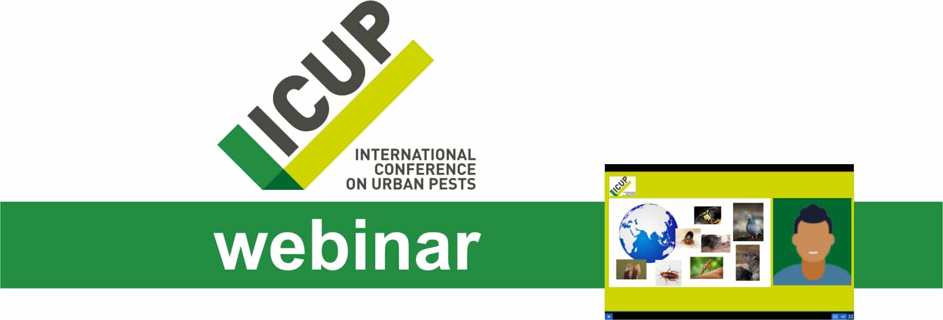 Webinar de l’ICUP sur les nuisibles urbains | Hamelin.info