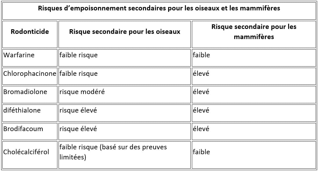 Rodonticide : l'essentiel à savoir sur ce biocide | Hamelin.info